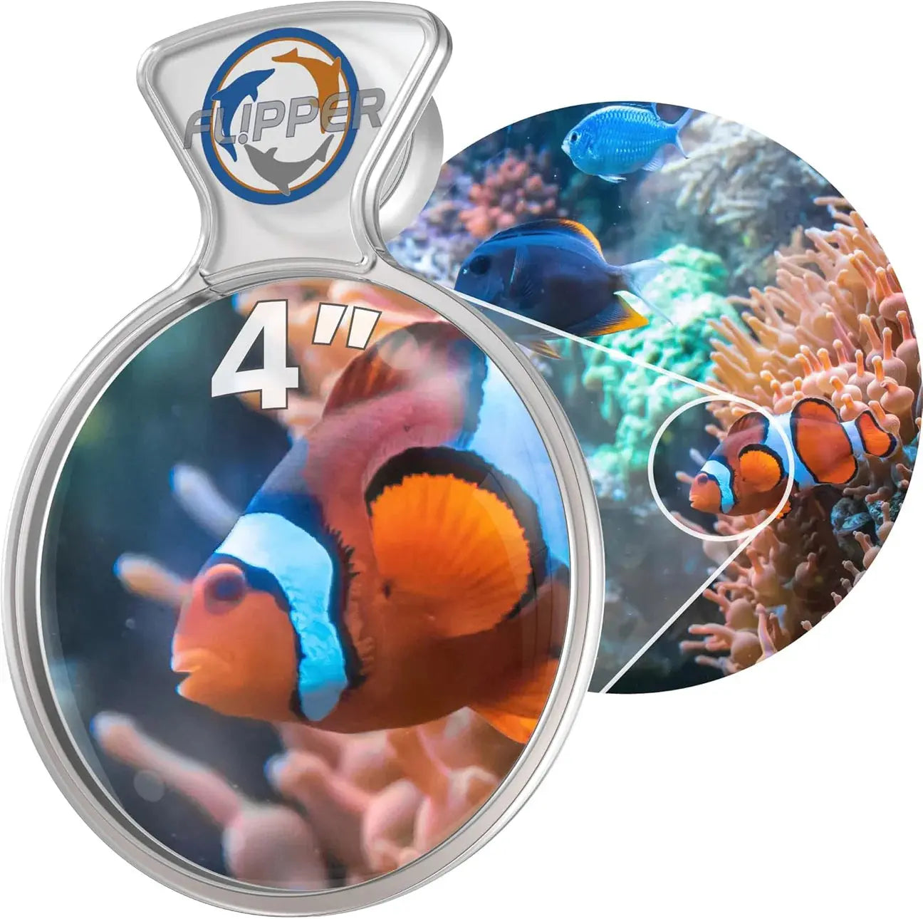 Flipper DeepSee Viewer Clear 4" - Clear Filter – Marine Concept Supply